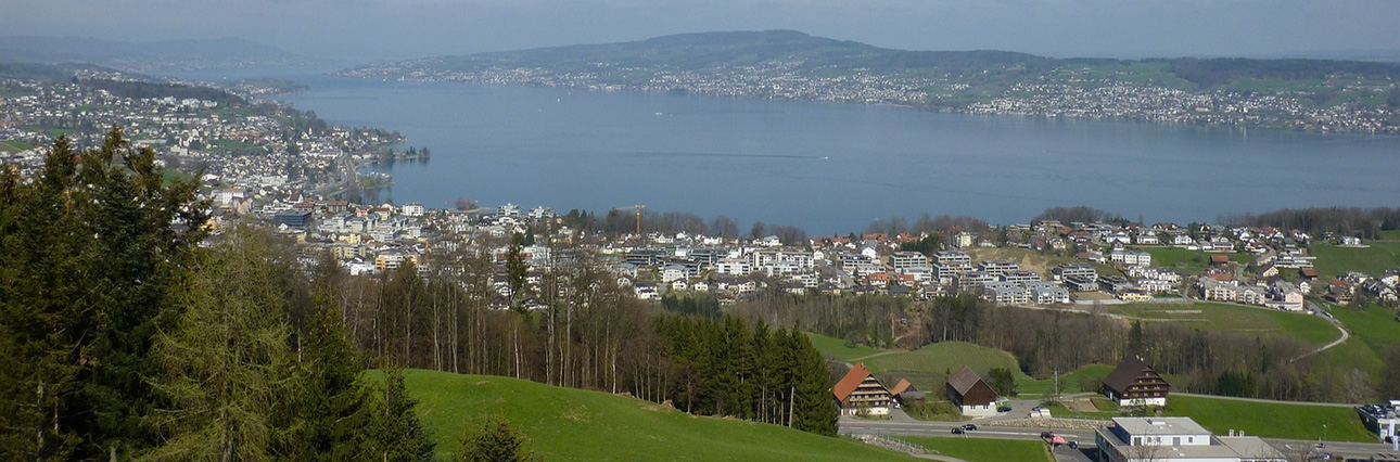 SVP Feusisberg / Schindellegi ☆ Politik ¦ Programm K&